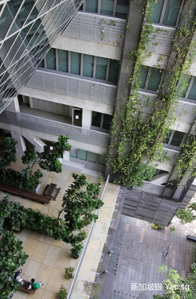 公立艺术学校SOTA，小六毕业就可以读 - 新加坡眼