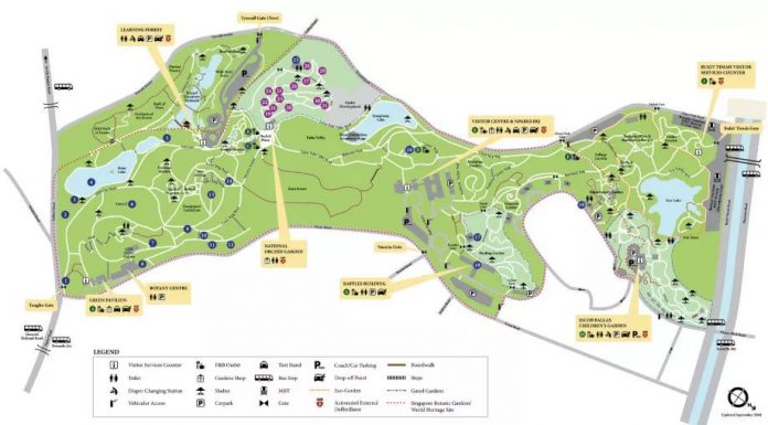 有138个足球场大的新加坡植物园，这样逛才不会迷路 - 新加坡眼