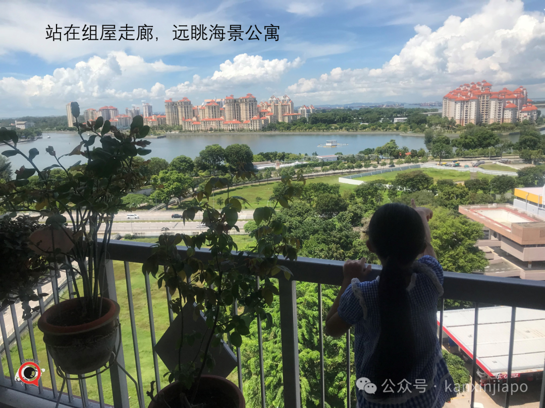 新加坡人大学毕业10年不吃不喝买房付清，真能做到吗？